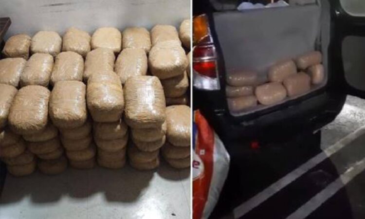 NCB Seized 200 Kg Ganja Worth Rs 4 Crore In Mumbai