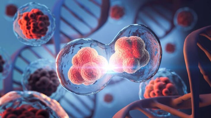 Dying cancer cells release particles post-chemotherapy that can turn ...